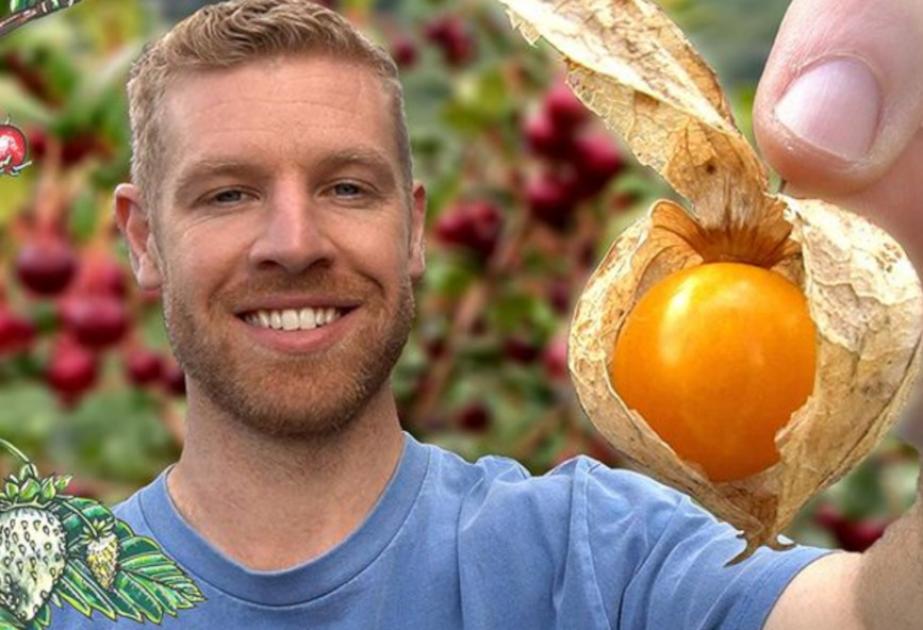 Μάθε πως αυτό το εξωτικό φρούτο μπορεί να σε κάνει πιο όμορφο και νέο ...